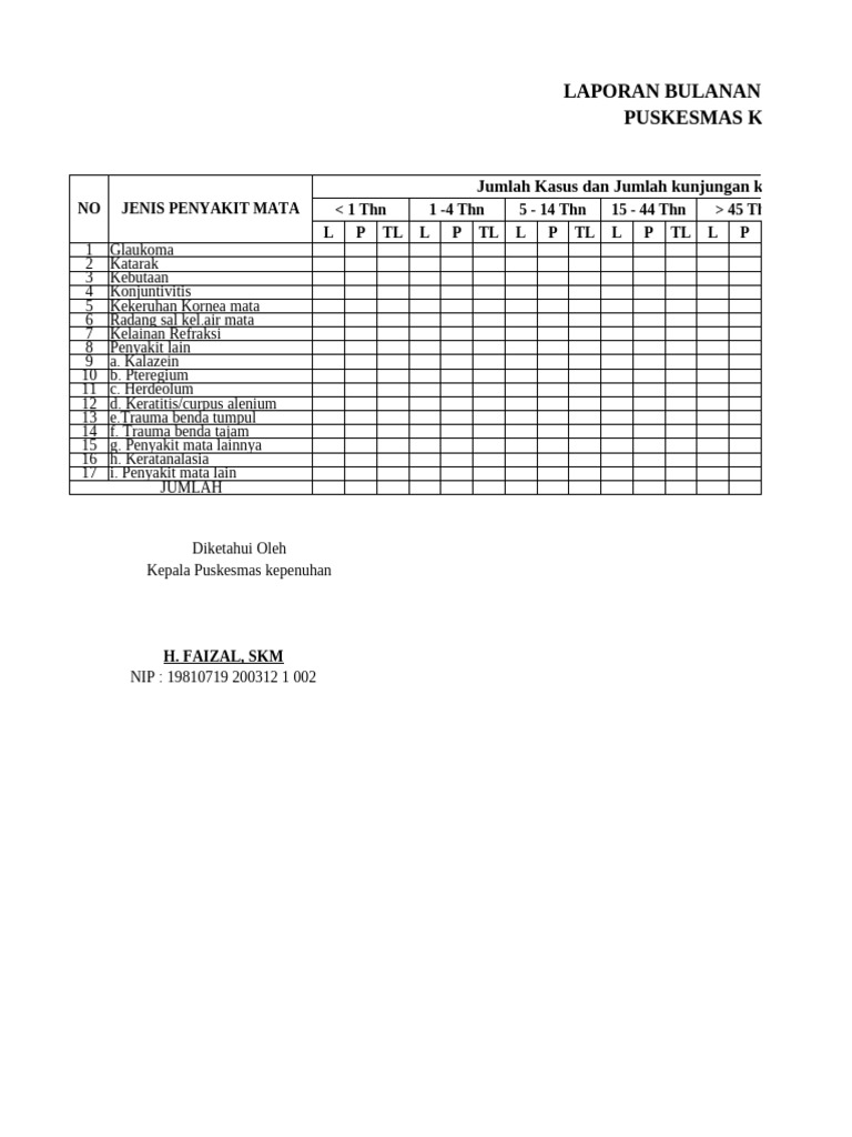Lap. Mata (Puskesmas Kepenuhan) | PDF