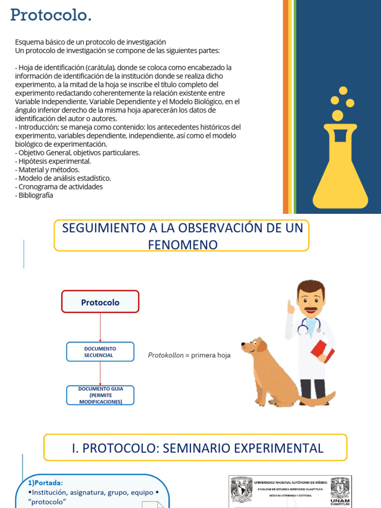 Protocolo y Trabajo Final | PDF