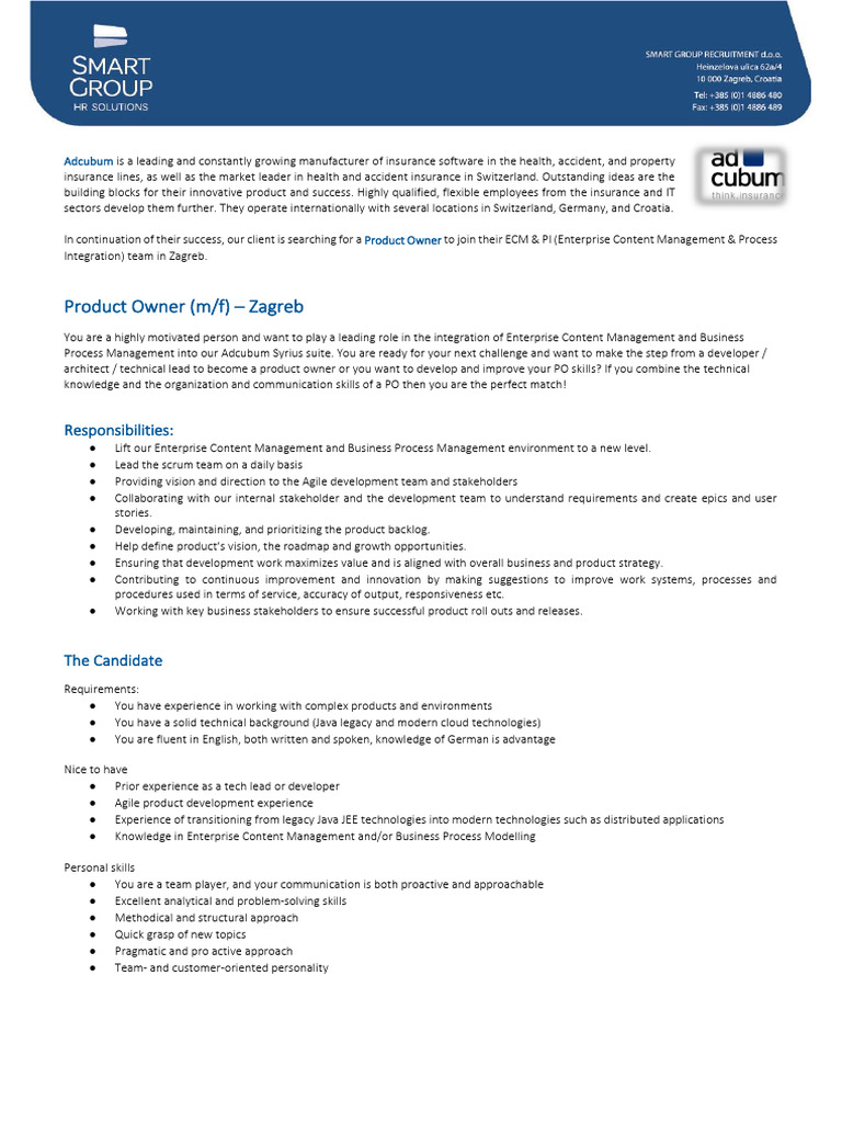 Job - Brief - Product Owner | PDF