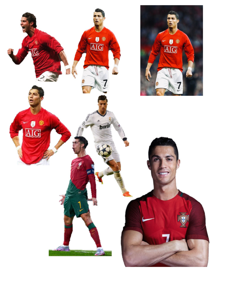 Imagenes Del Vicho | PDF