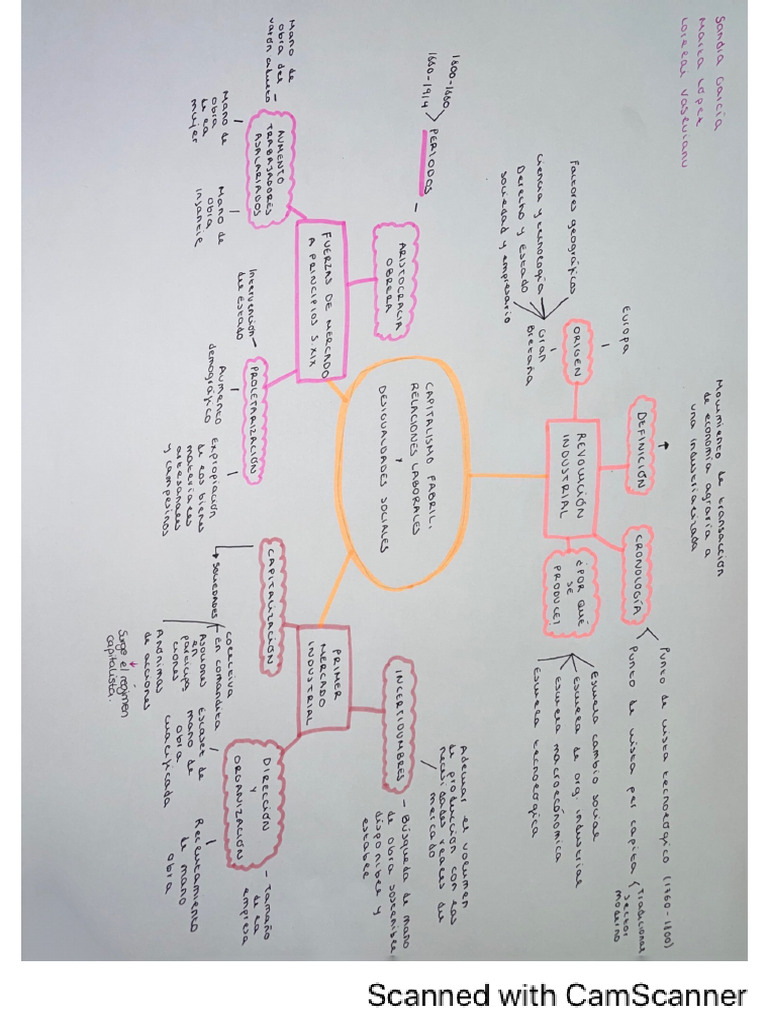 Mapa Conceptos | PDF