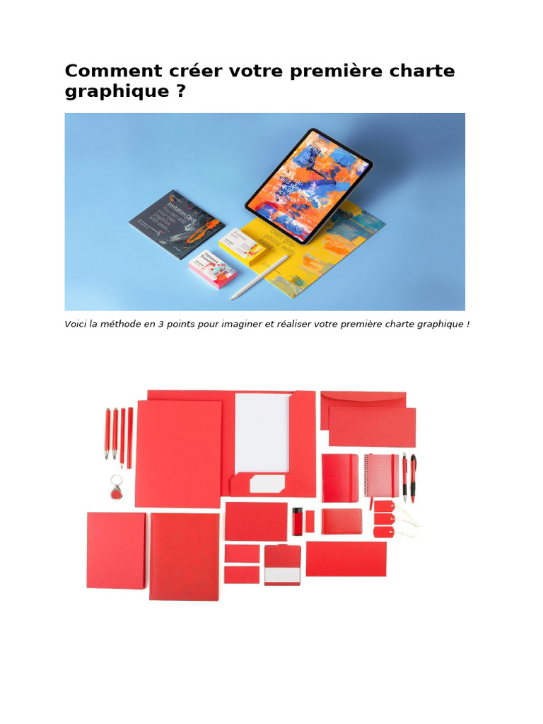 Comment Créer Votre Première Charte Graphique | PDF