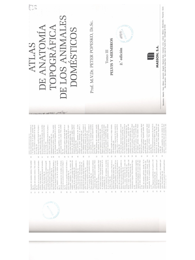 Atlas de Anatomía Topográfica de Los Animales Domésticos Tomo III - P ...