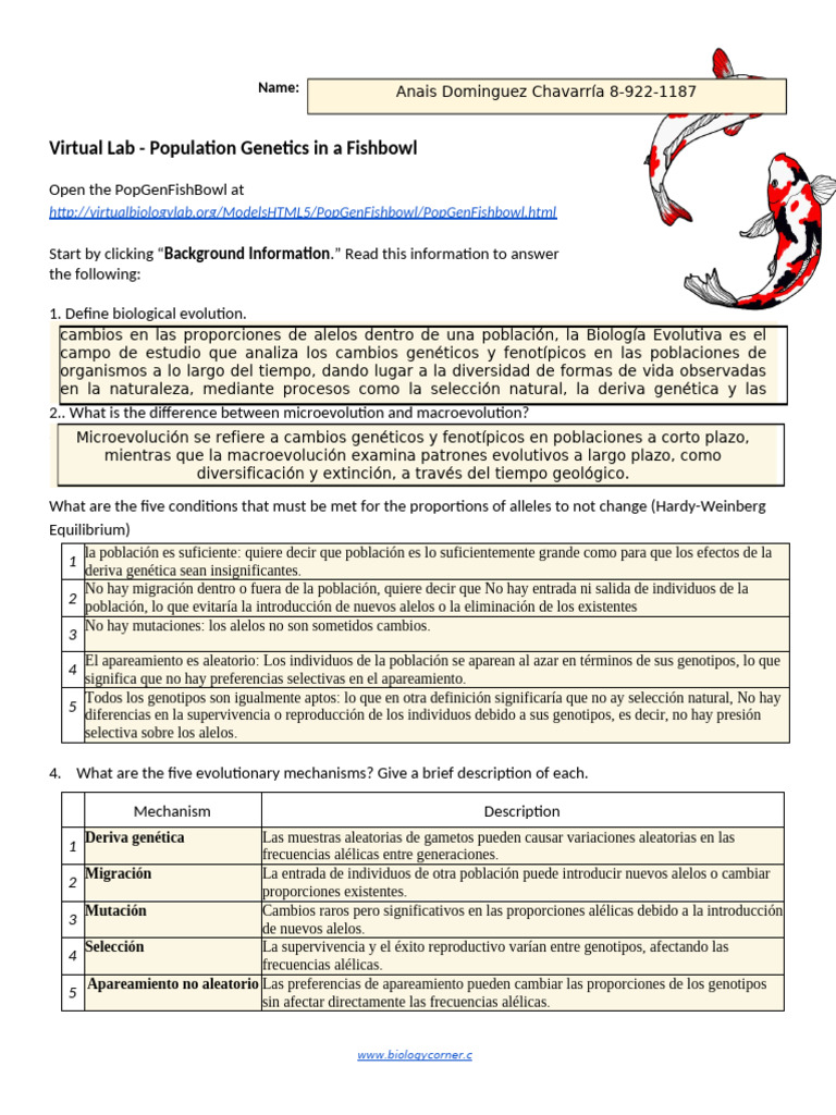 Hardy-Weinberg Equilibrium Fishbowl | PDF | Zygosity | Dominance (Genetics)