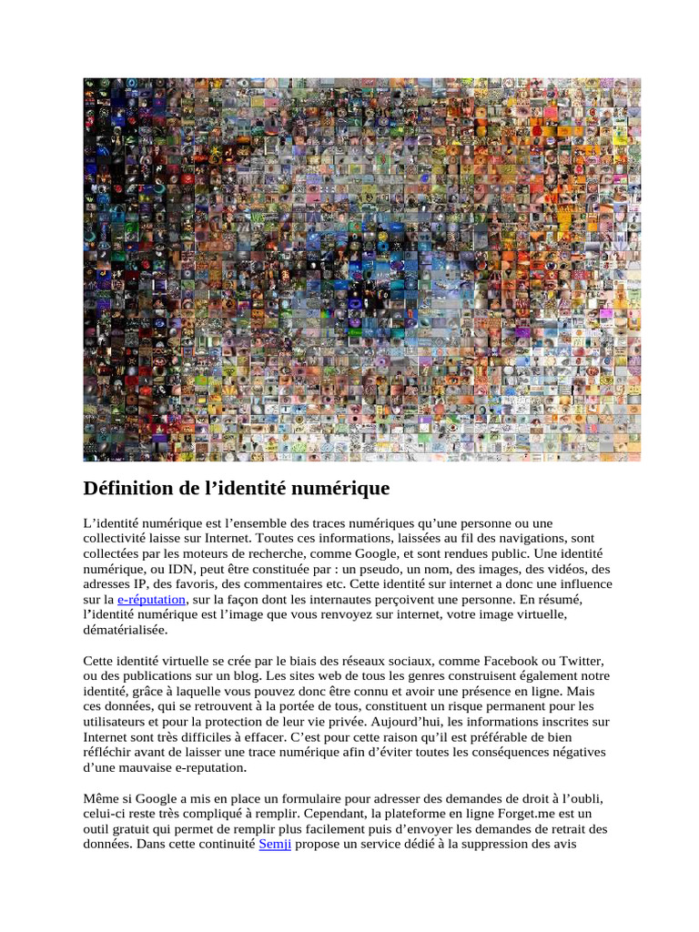 Définition Et Sécurité de L'identité Numérique BBBBBBBBBB | PDF