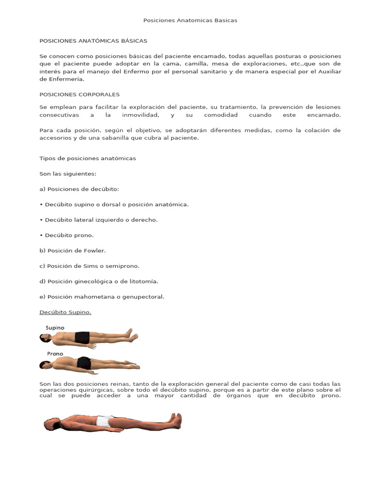 Contenido Posiciones Anatómicas Básicas | PDF