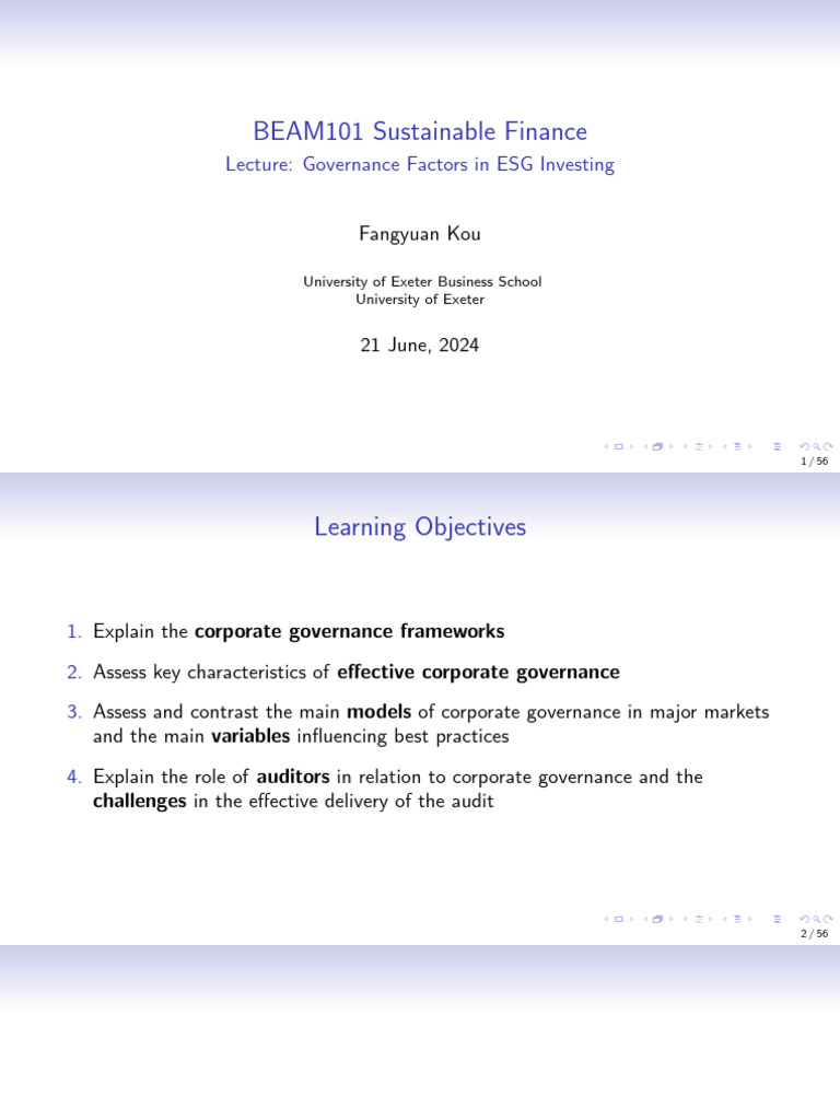 Lecture 5 (1) Governance | PDF