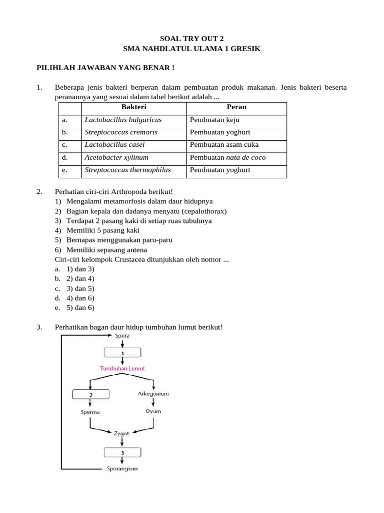 Soal Try Out Ii 2020 B | PDF