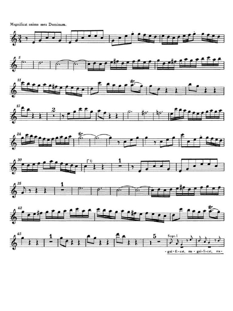 Picc Piece - Bach | PDF