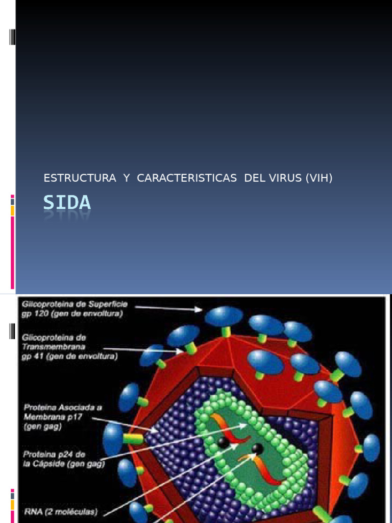 Estructura Y Caracteristicas Del Virus (Vih) | PDF