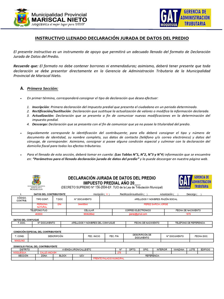 Instruc Declaracion Jurada | PDF