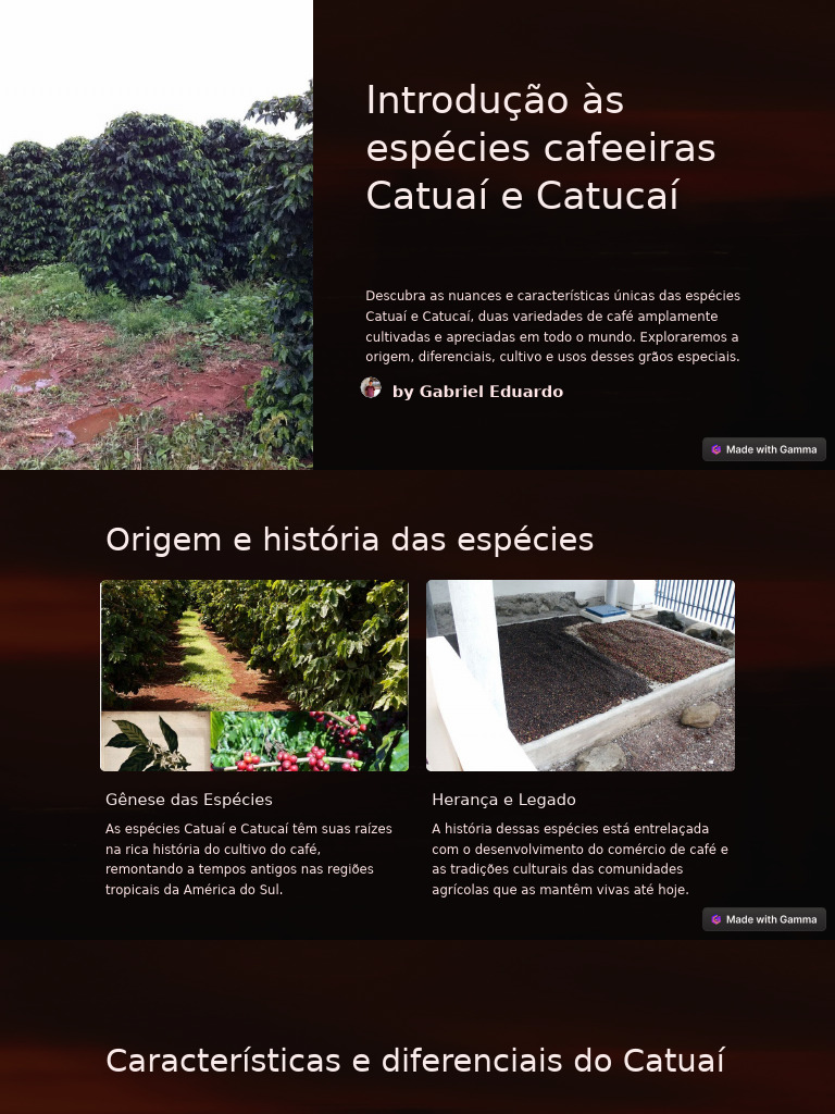 Introducao As Especies Cafeeiras Catuai e Catucai | PDF