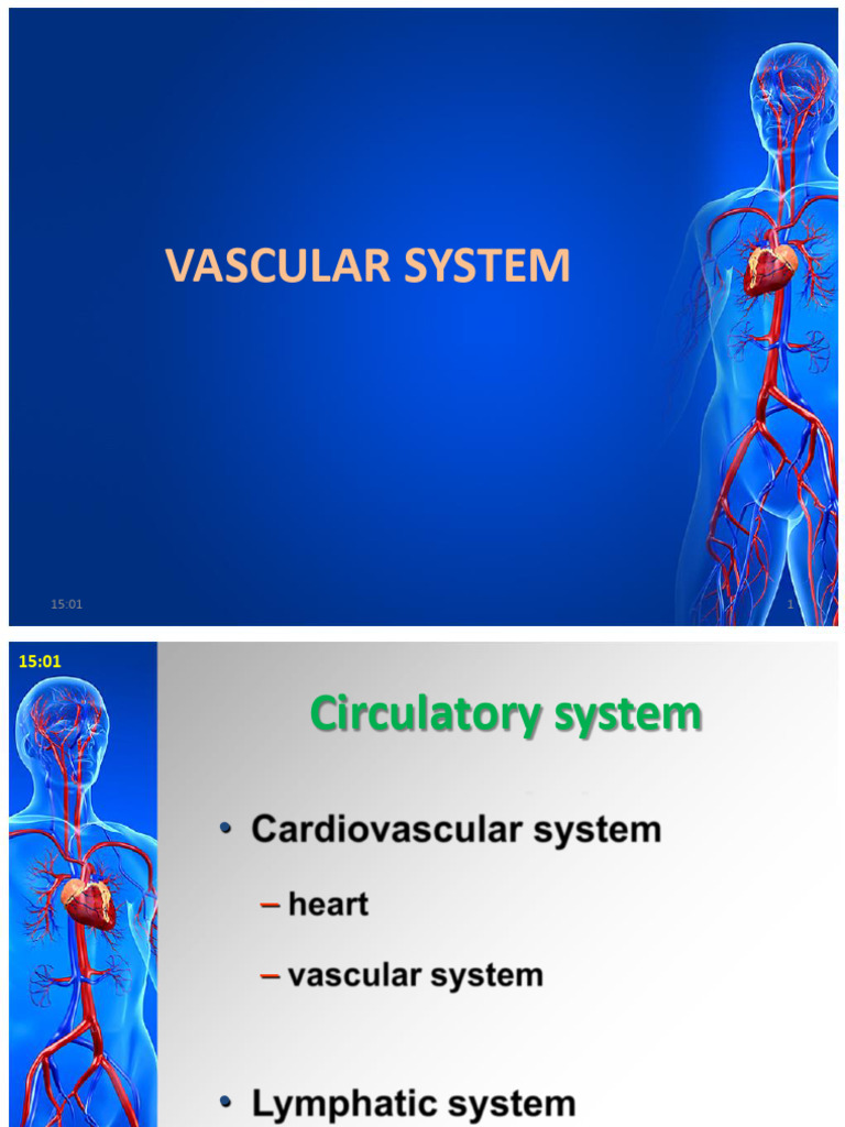 Vascular System 2015 | PDF