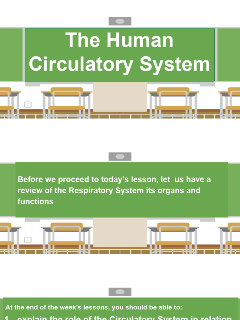 Notes For The Human Circulatory System | PDF