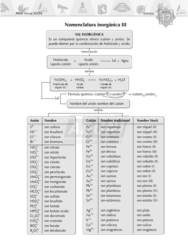 T17 - Nomenclatura Inorgánica III | PDF | Sal (química) | Hidróxido