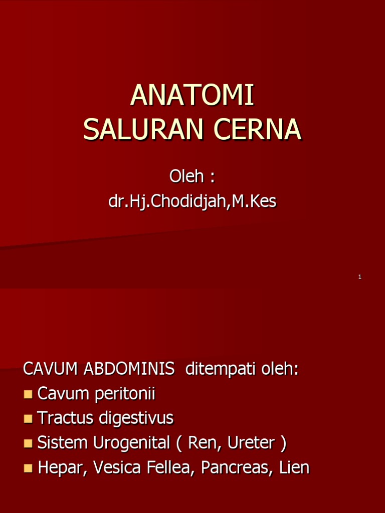 ANATOMI Saluran Cerna | PDF