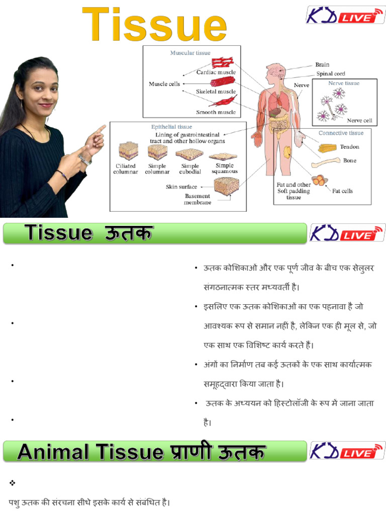 Tissue 1 20240806104303 | PDF