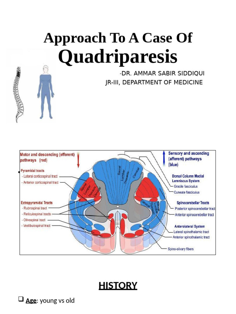 Quadriparesis: Diagnostic Approach | PDF | Arm | Spinal Cord