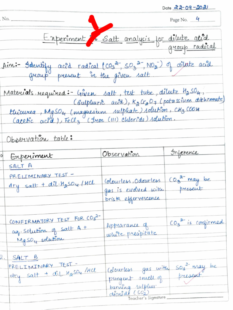 Salt Analysis - Anion Testing | PDF