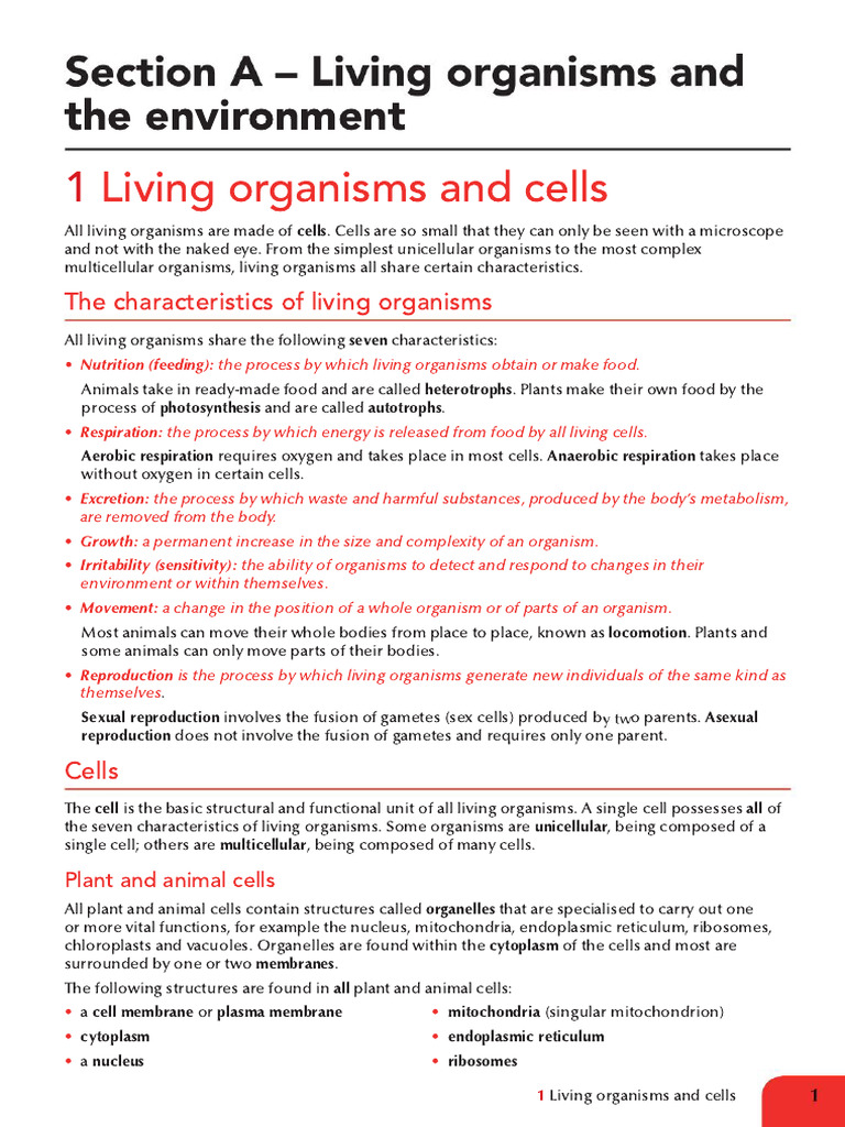 Living Organisms & Cells Notes | PDF