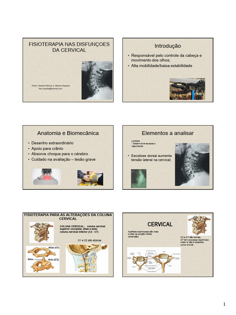 Aula Cervical | PDF | Coluna vertebral | Sistema Locomotor