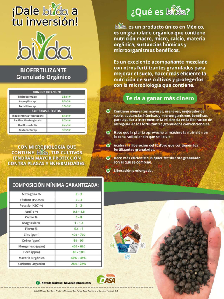 Ficha Técnica BIDA | PDF