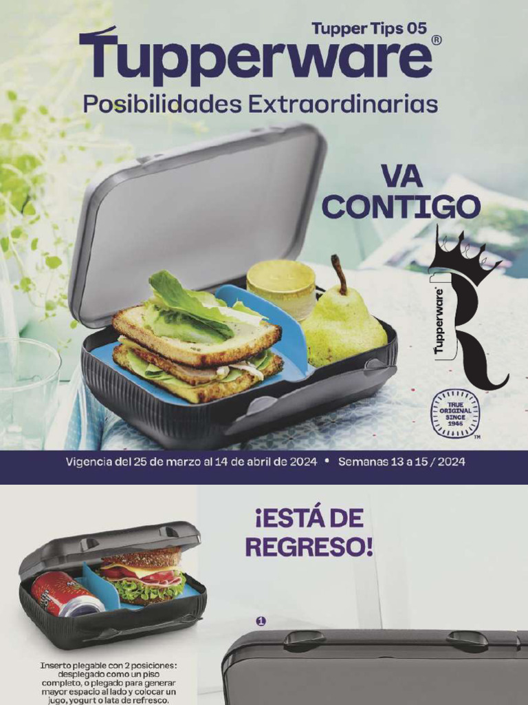 Tt 05 Reyna 2024 | PDF