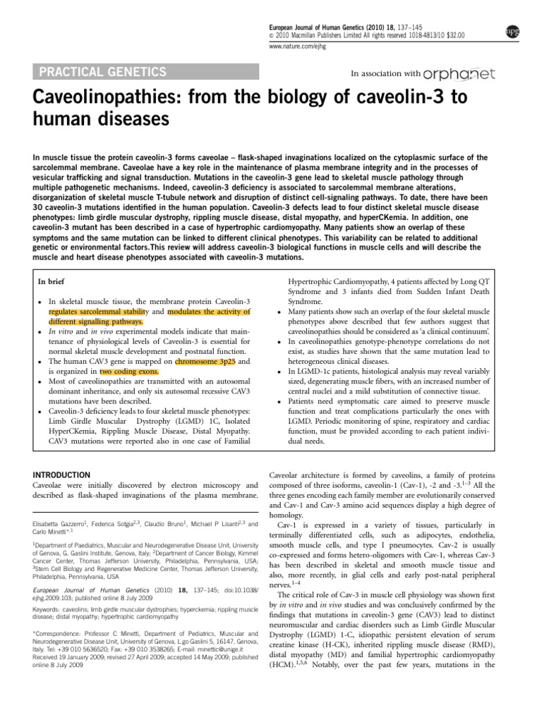 Caveiolinopathies From The Biology of Caveolin-3 To Human Diseases ...