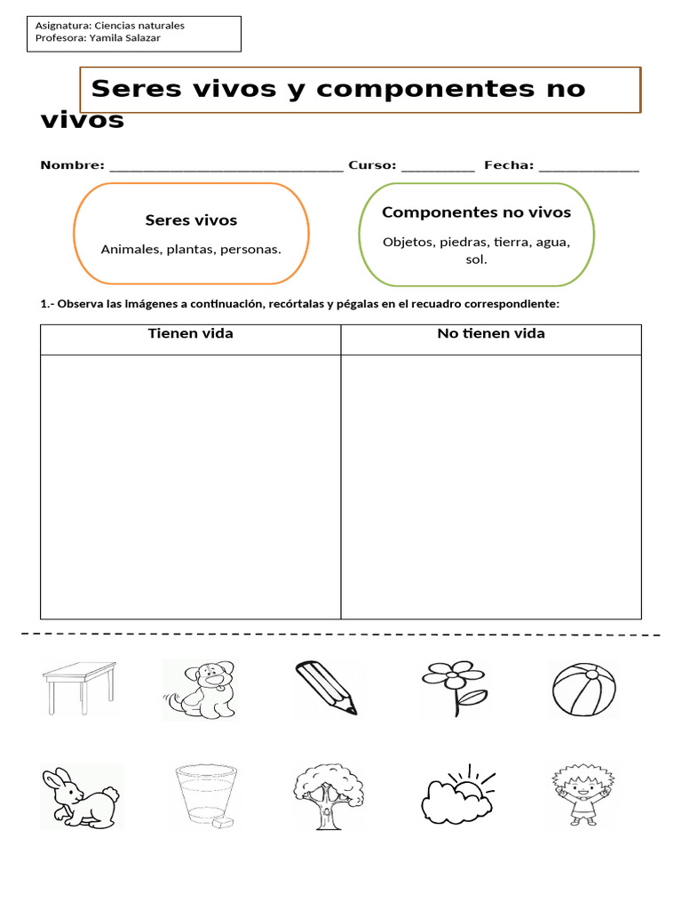 Guía Seres Vivos y Sin Vida 1° Basico | PDF