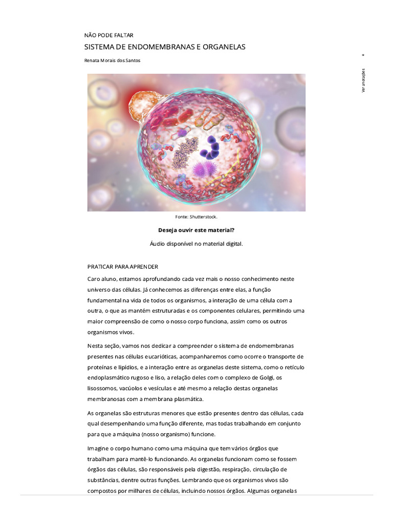 02 | PDF