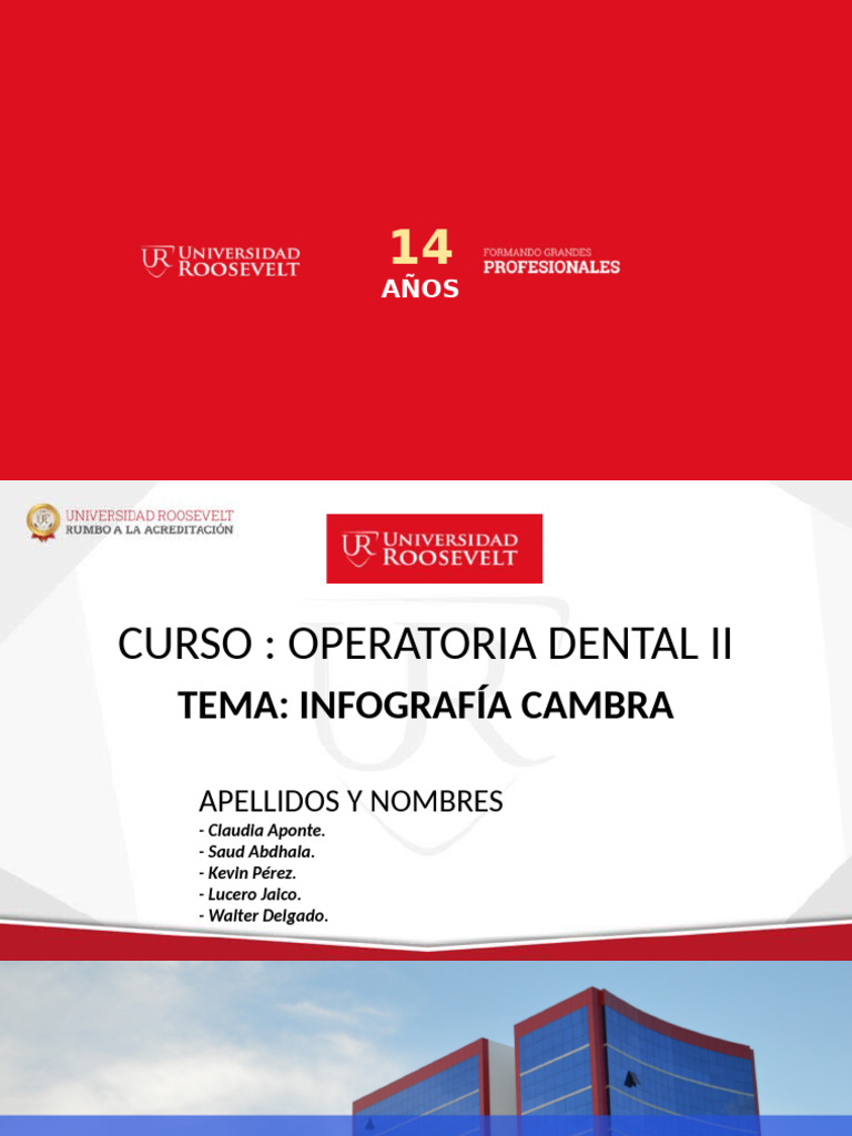 Exposicion Cambra Operatoria II | PDF