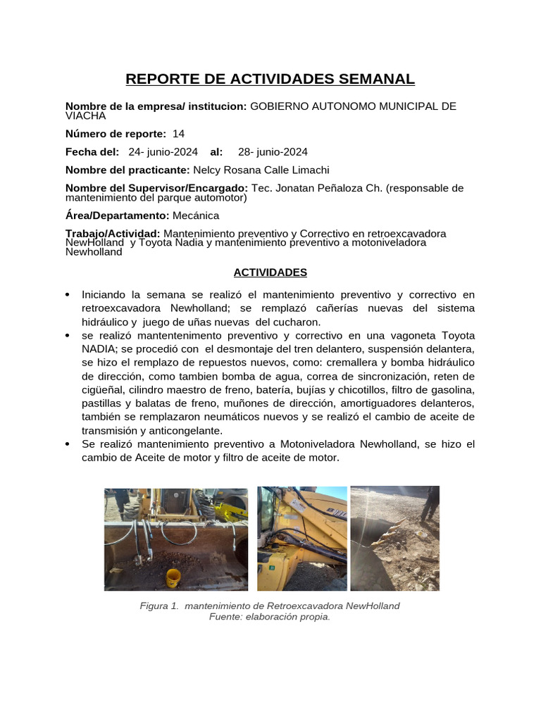 04 Modelo de Reporte de Actividad Semanel 2024 v1 | PDF