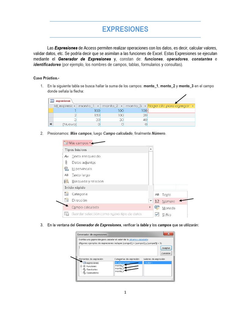 Expresiones - Access | PDF