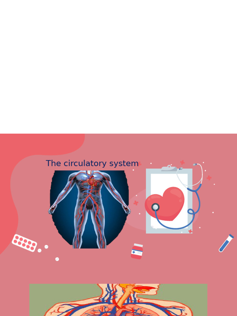Overview of the Circulatory System | PDF
