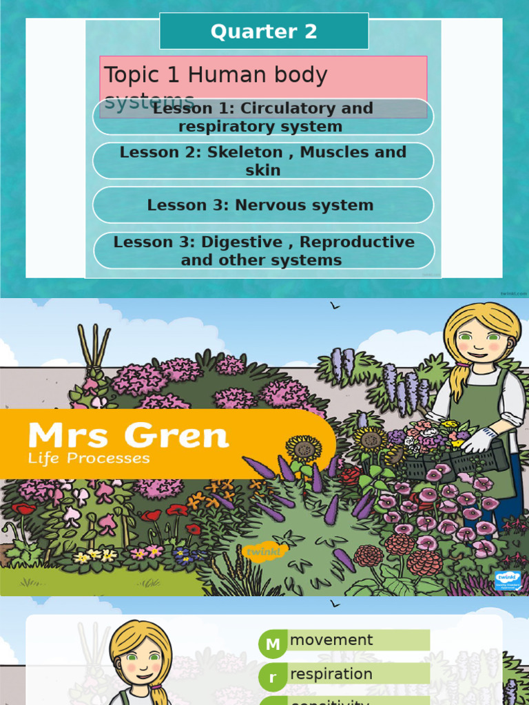 Lesson 1 The Organ System | PDF