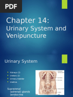 Horizontal vs. Vertical Baffles - Which To Choose For Your Shell and ...