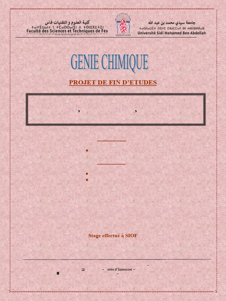 Rapport Siof SRATI Chaimae (1) - Inconnu (E) | PDF