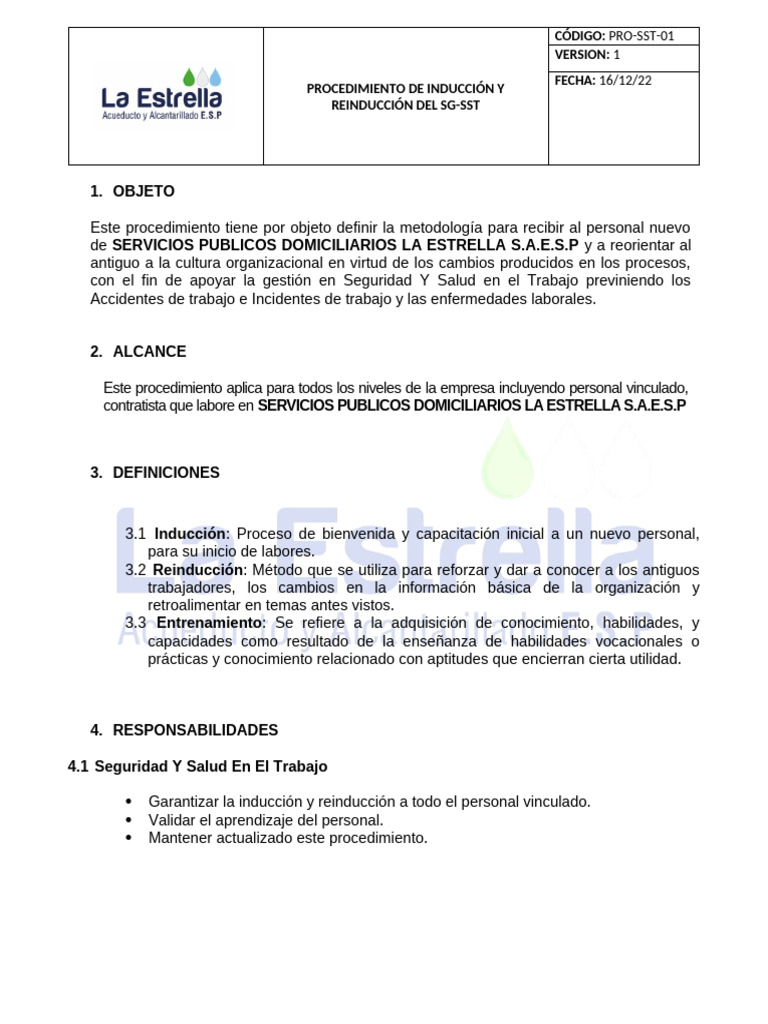 Procedimiento de Inducción y Reinducción | PDF