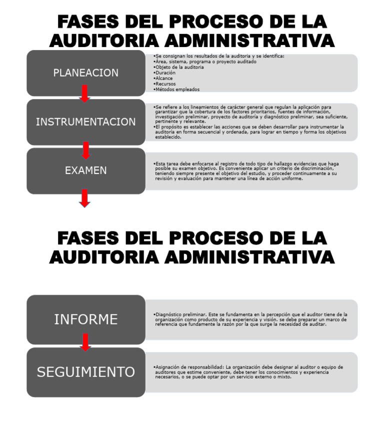 Fases Del Proceso de La Auditoria Administrativa | PDF