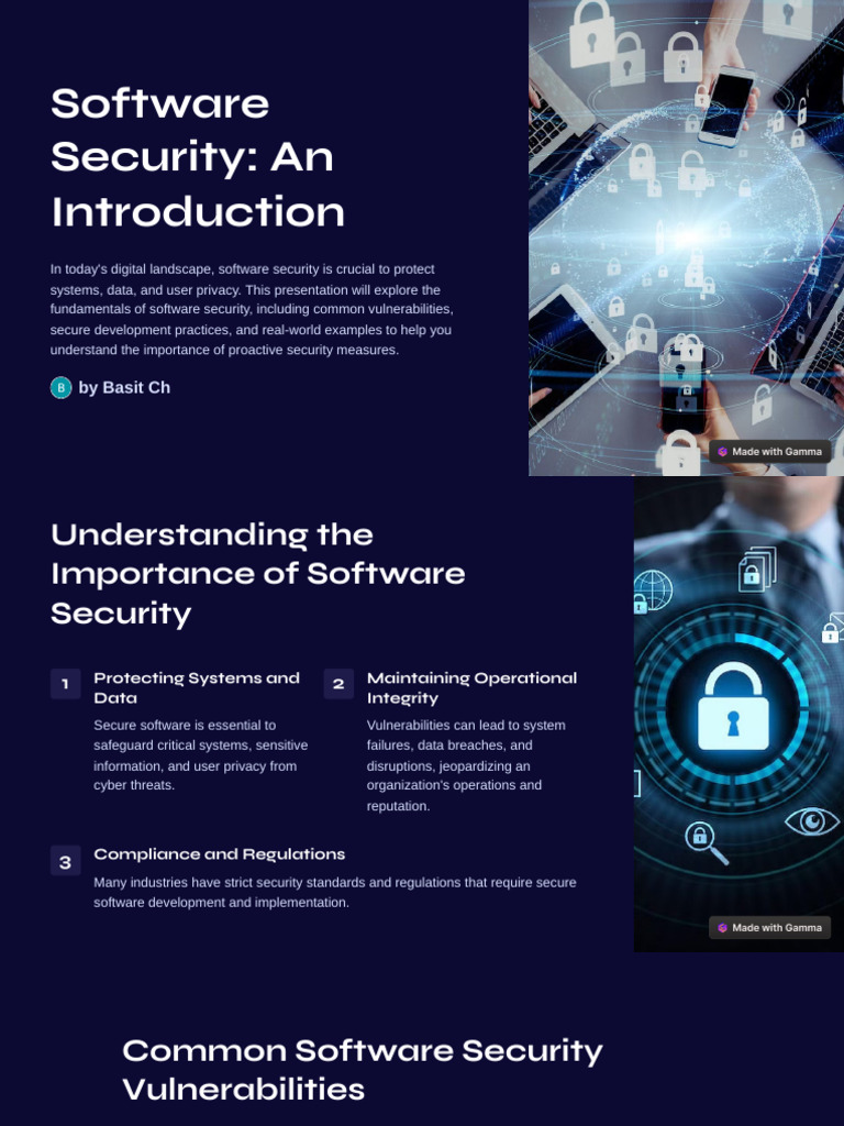 Software Security An Introduction | PDF