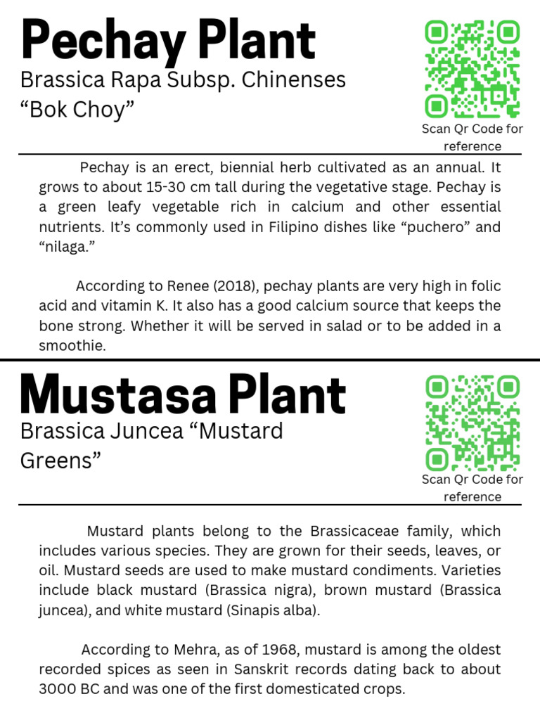 Pechay Plant - 20240514 - 171001 - 0000 | PDF