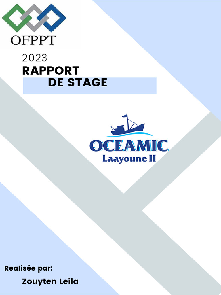 Rapport de Stage | PDF
