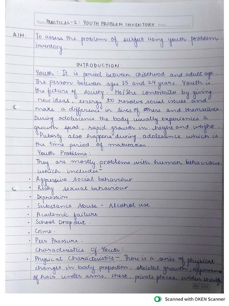 practical- 2 youth problem inventory | PDF