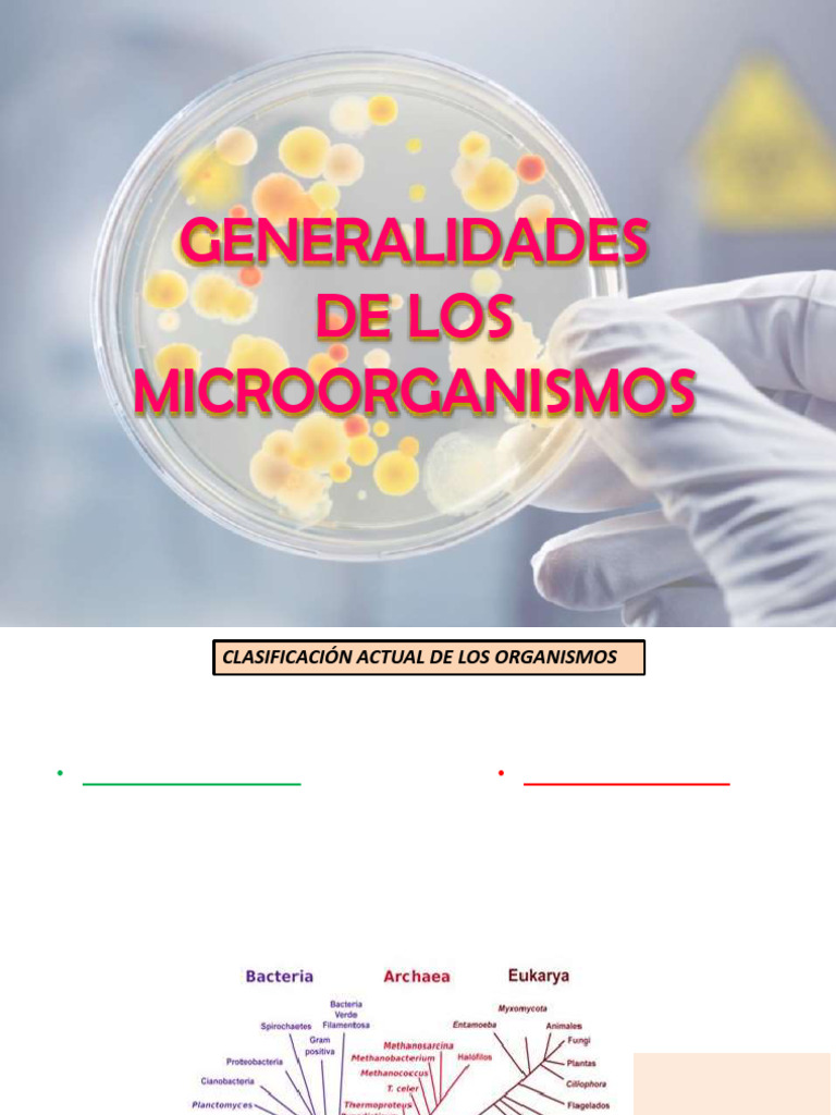 Clase 2 Generalidades - 2024 | PDF