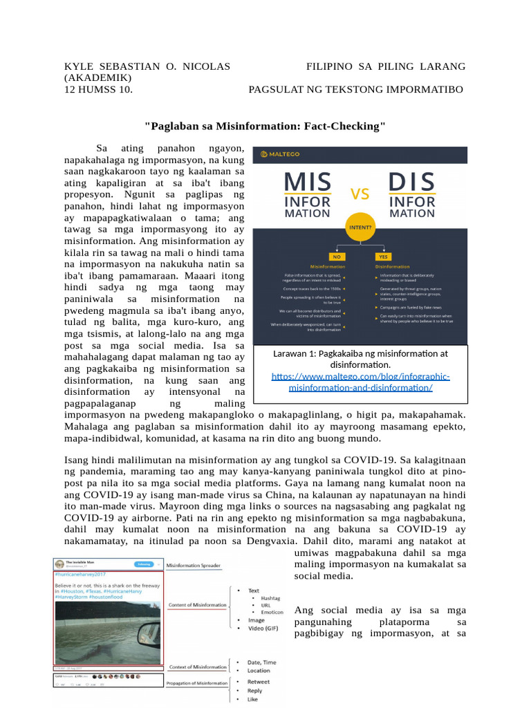 Paglaban Sa Misinformation 2 | PDF