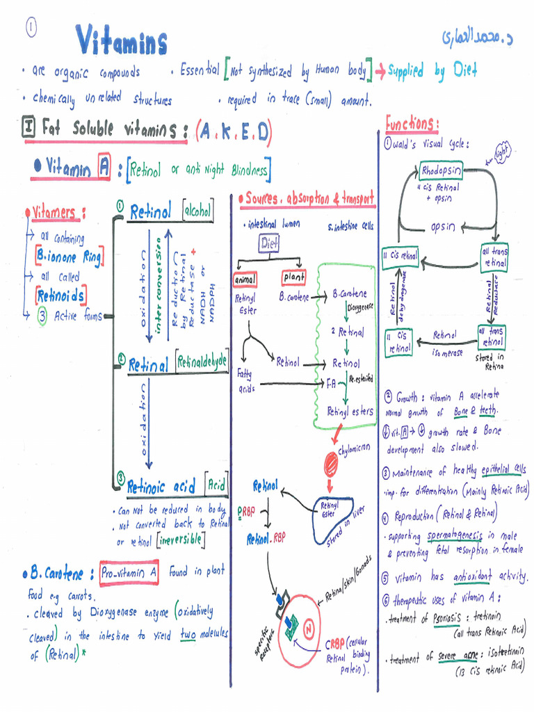Vitamins Part 1 | PDF