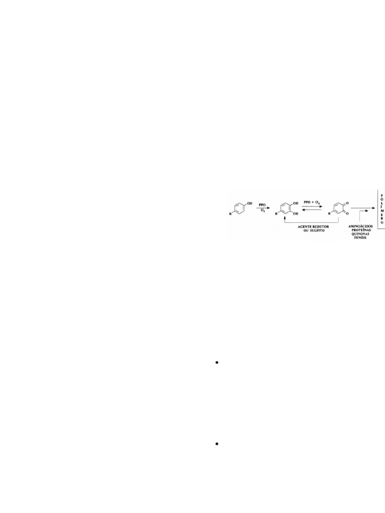 Por Que as Frutas Escurecem Após Serem Cortadas | PDF