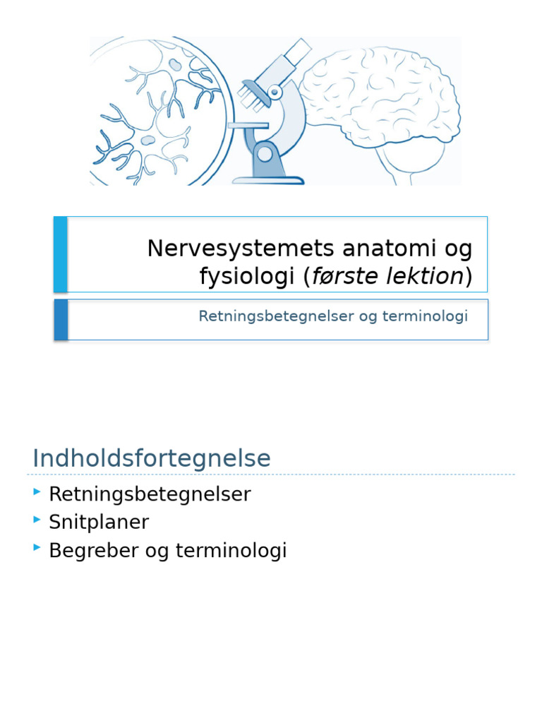 Retningsbetegnelser Og Terminologi | PDF