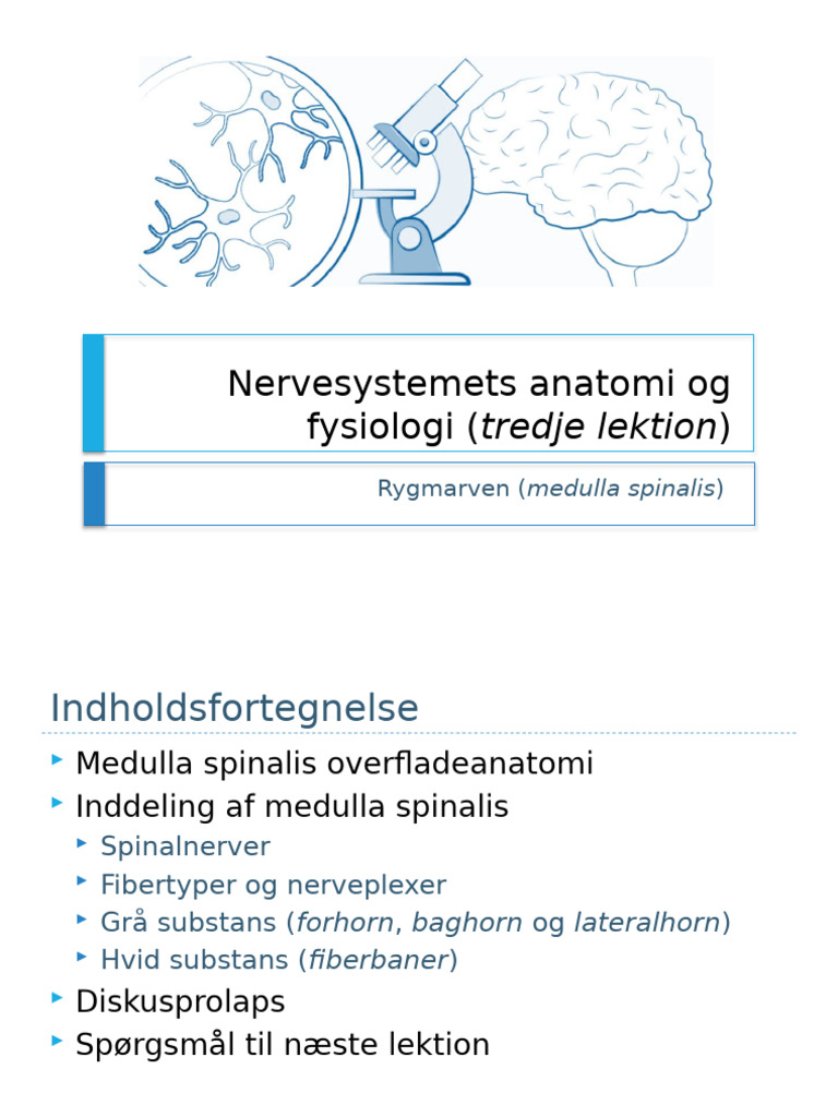 Medulla Spinalis | PDF