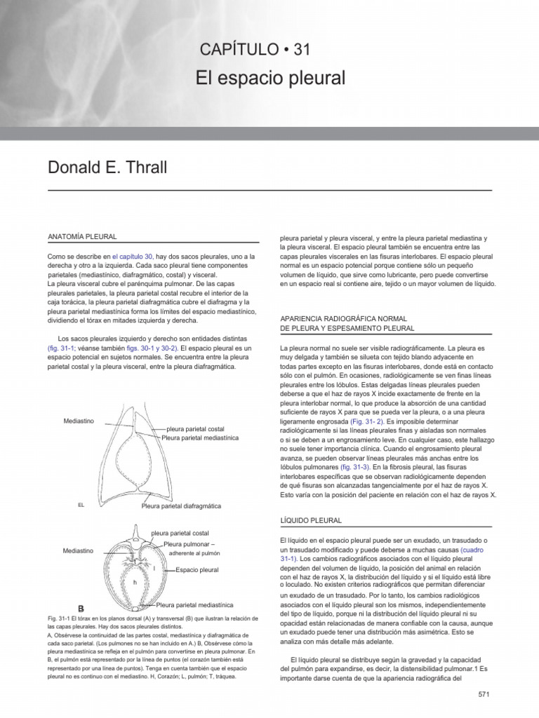 Textbook of Veterinary Diagnostic Radiology | PDF